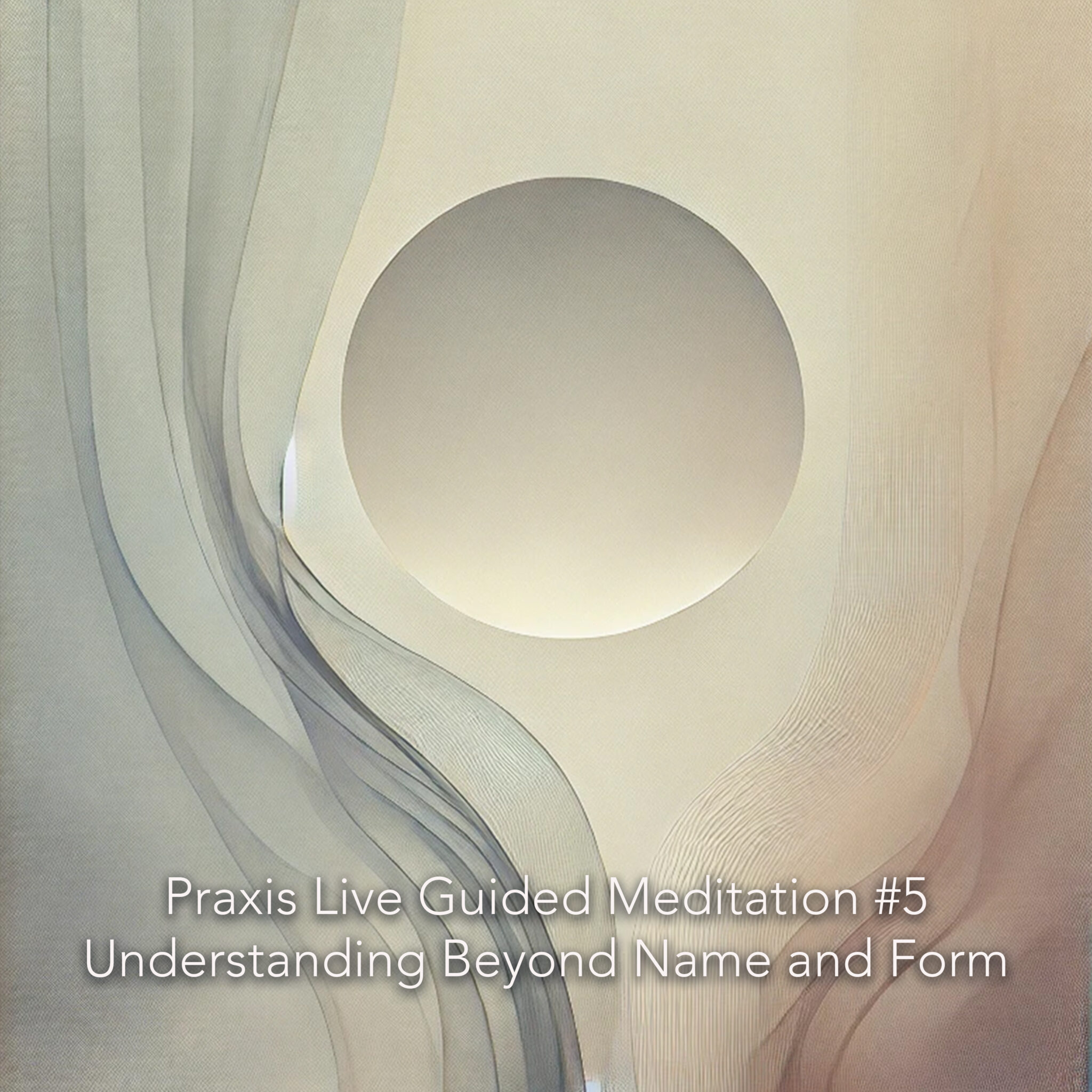 Praxis Live Meditation #5: Understanding Beyond Name and Form
